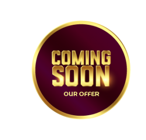 Mega Racking System Malaysian | Pallet Racking System – MegaRack